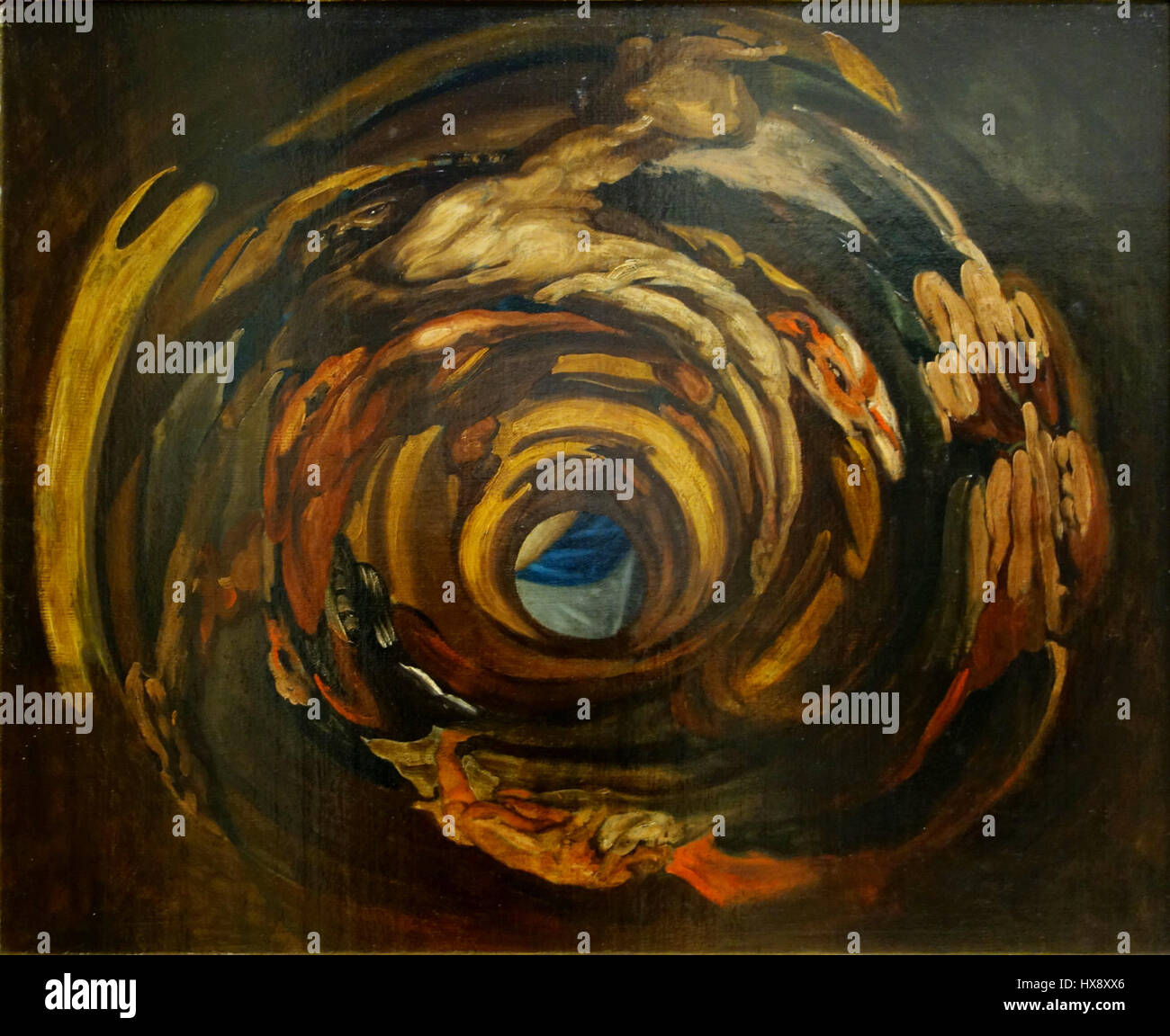 The 'Anamorphose' by Piola at Rouen MdBA is an optical illusion art ...