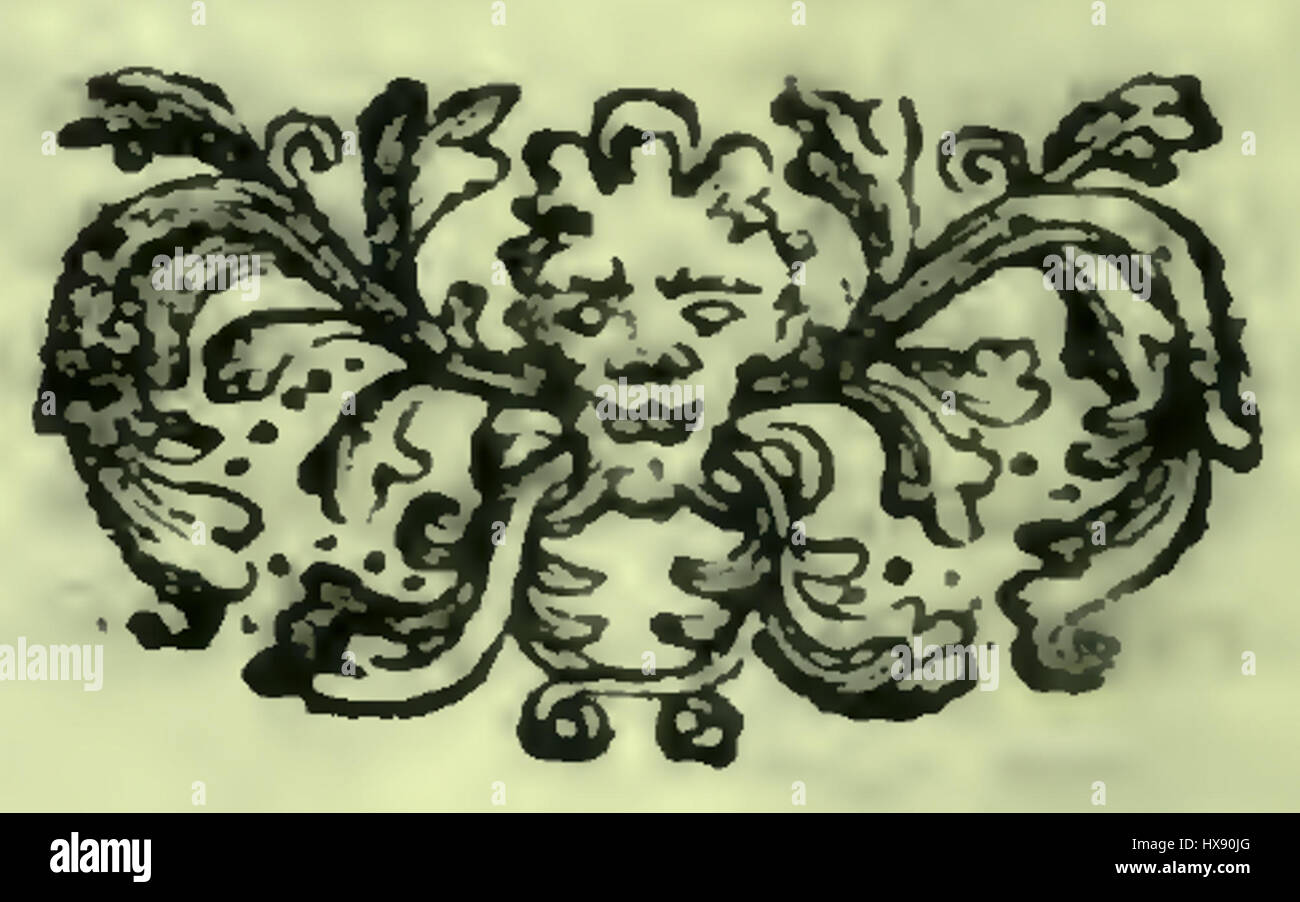 'Mémoires de Messire Philippe de Comines' is a historical manuscript ...