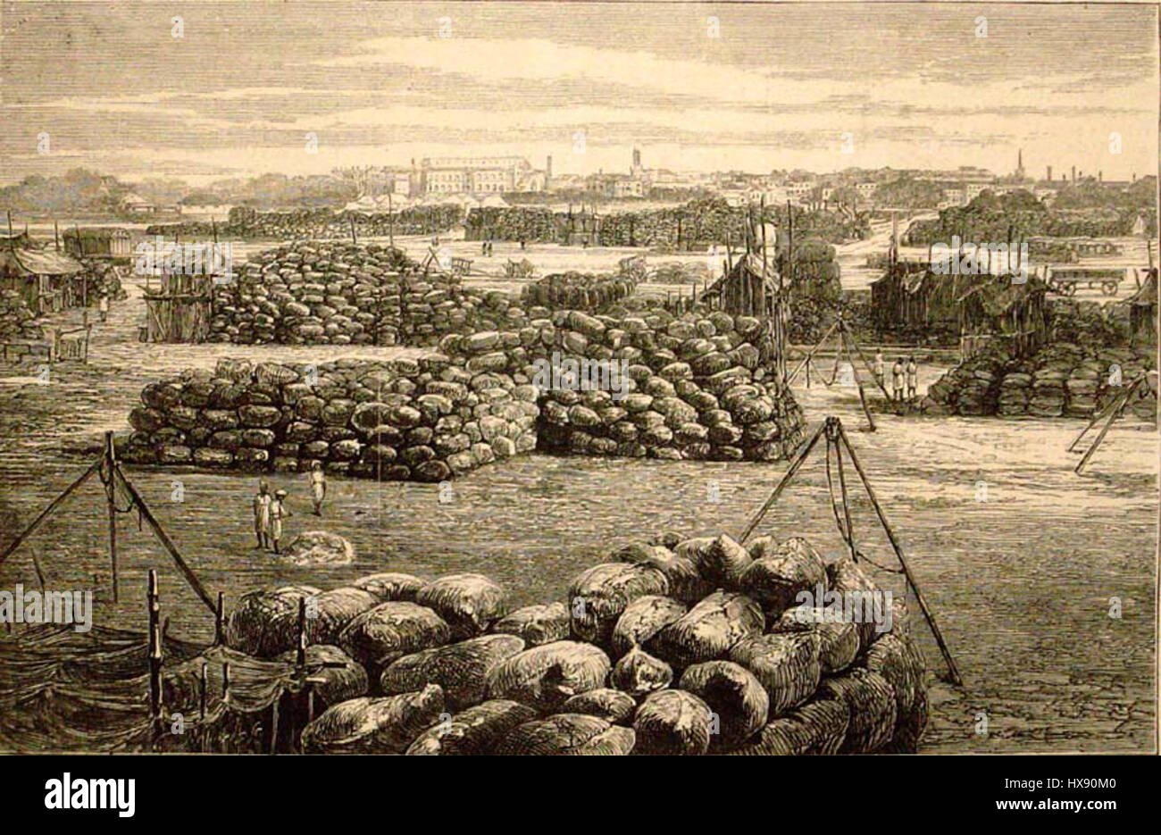 The cotton yards in Bombay, now Mumbai, were key areas for cotton ...