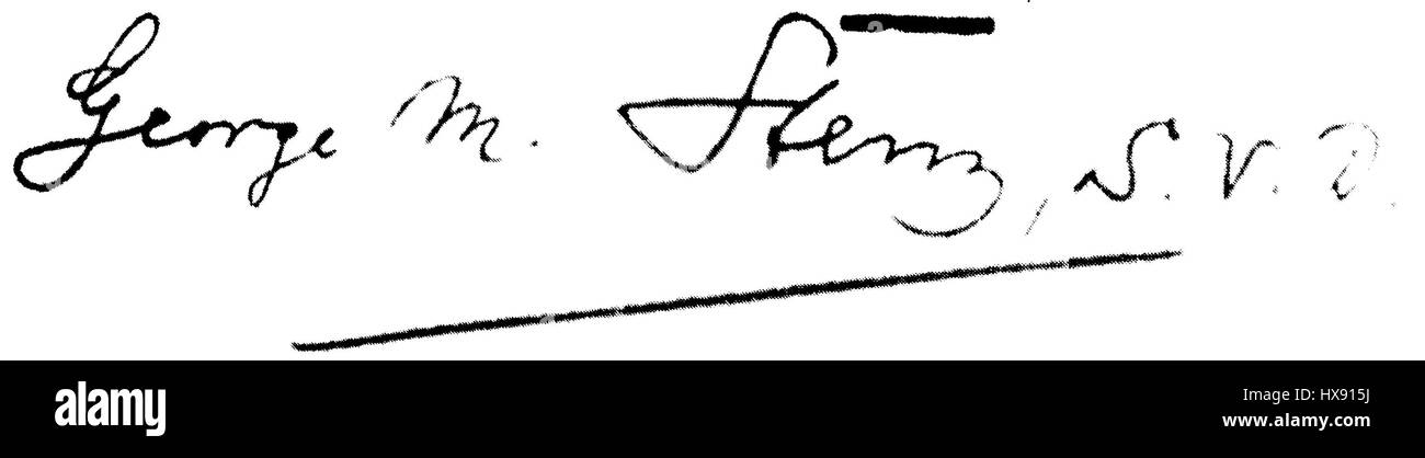 Stenz signature likely refers to the artistic mark or signature of a ...