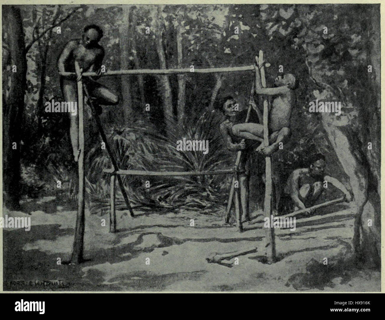 ‘The Dawn of Life: Building a Home’ is a visual representation of the ...