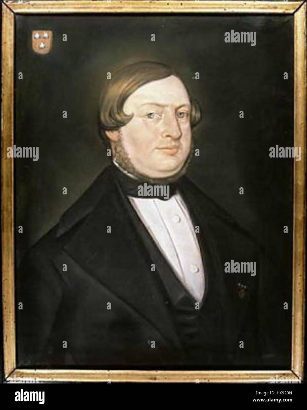 This portrait of Johannes Haitsma Mulier (1811-1859) captures the ...