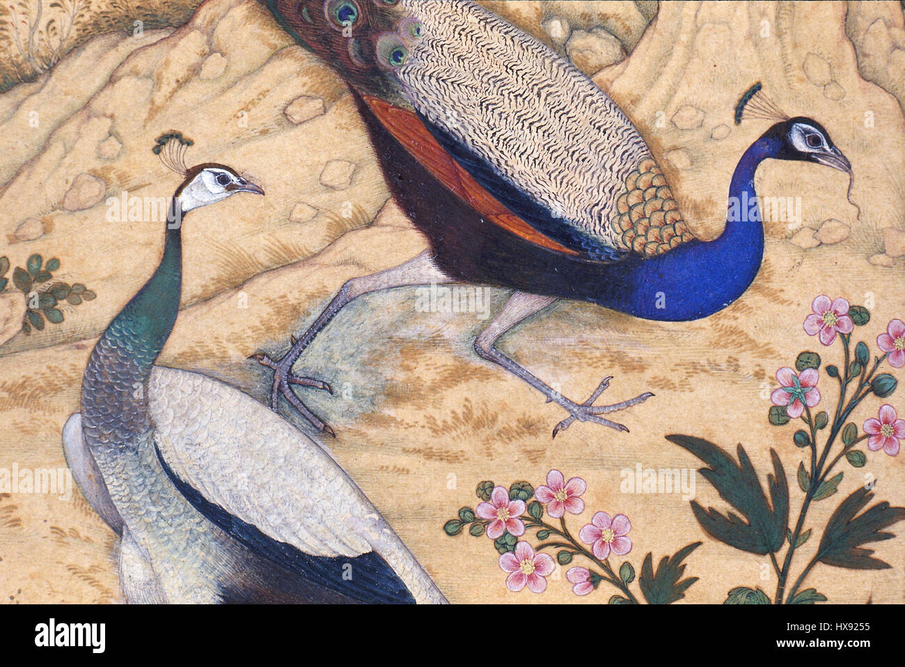 Mansur 78 is a painting attributed to the Persian artist Mansur, known for his miniature works ...