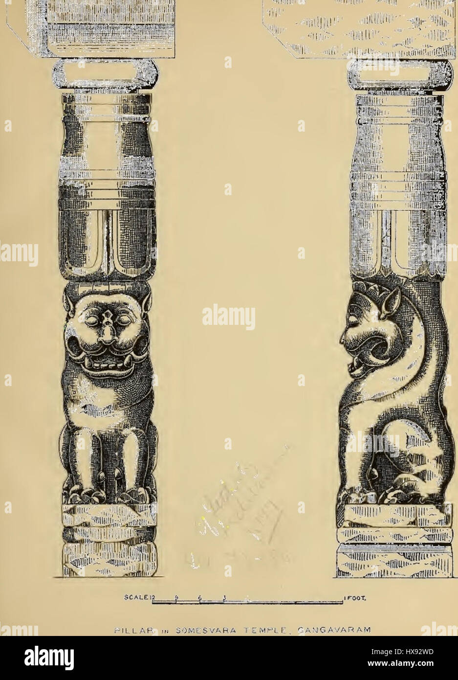 The 1897 map of Rongerik, created by Langhans, showcases the geography ...