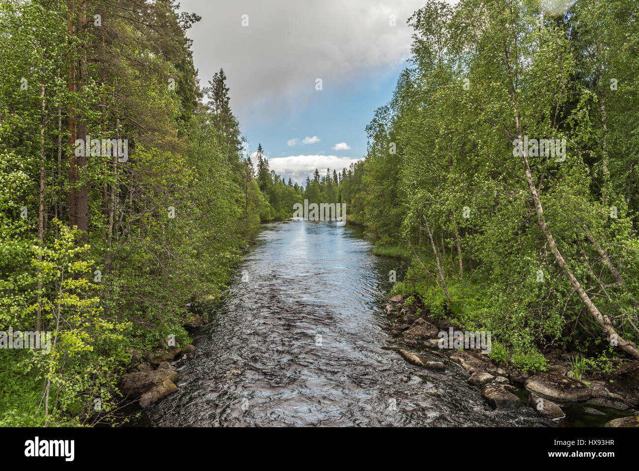 Small river in Finnish Lapland Stock Photo - Alamy