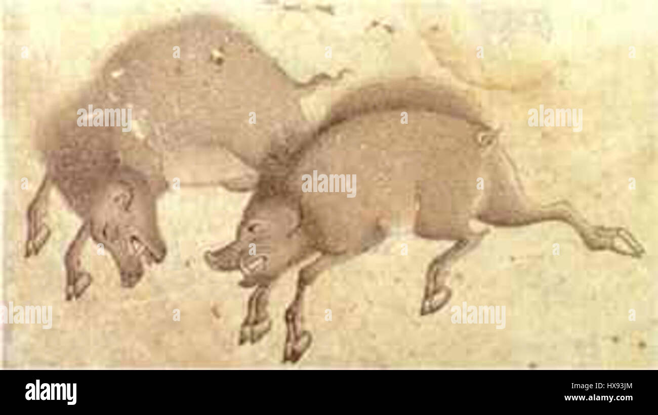 Siyah qalam hi-res stock photography and images - Alamy