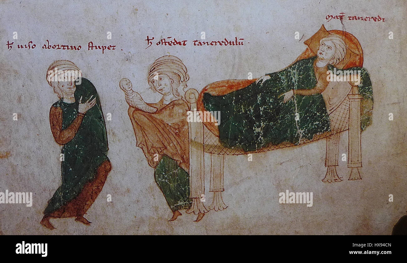 The artwork 'Narozen Tankreda Sicilského' (The Birth of Tancred of ...