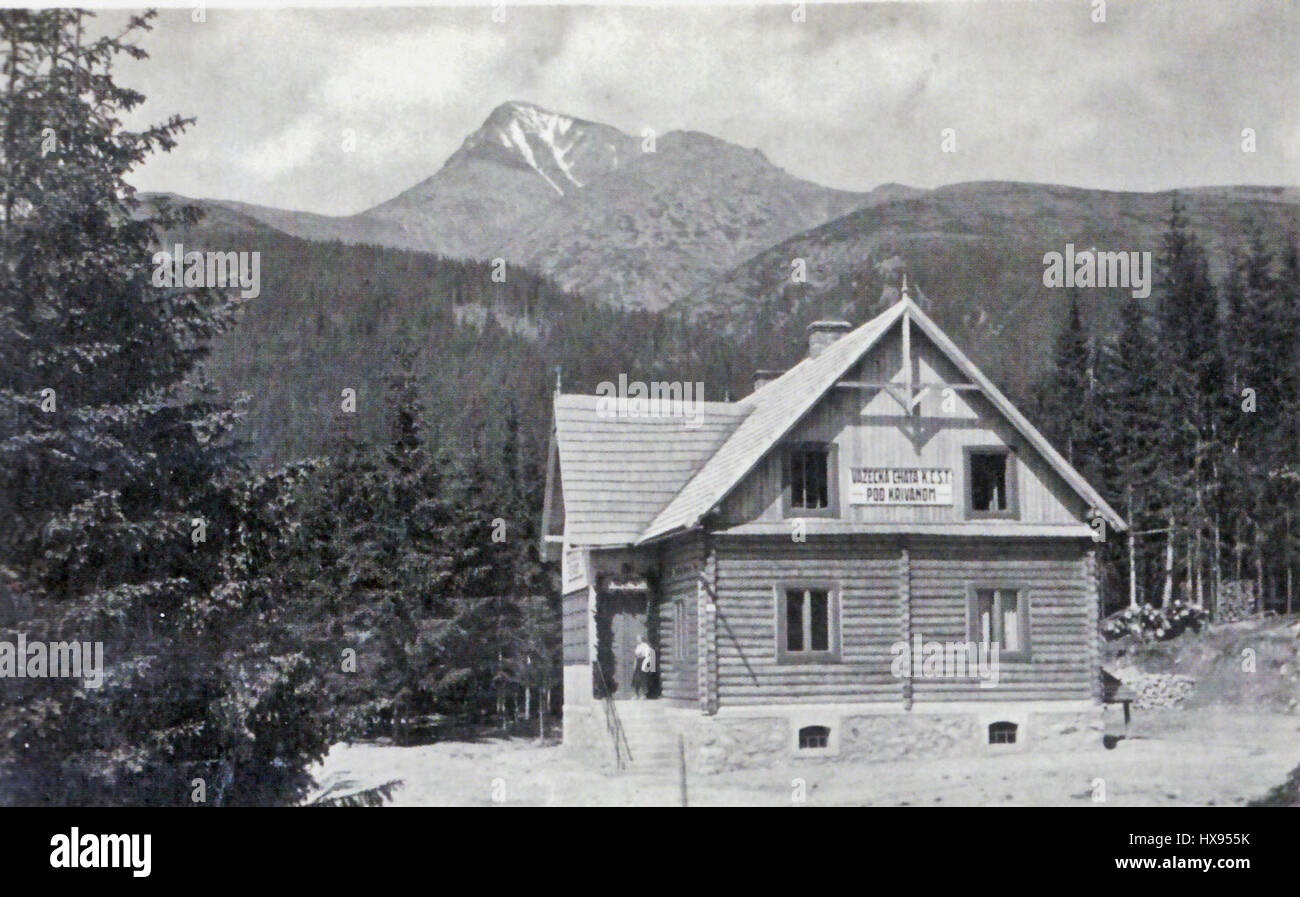 This image depicts a traditional Czech house, a chata, reflecting the ...