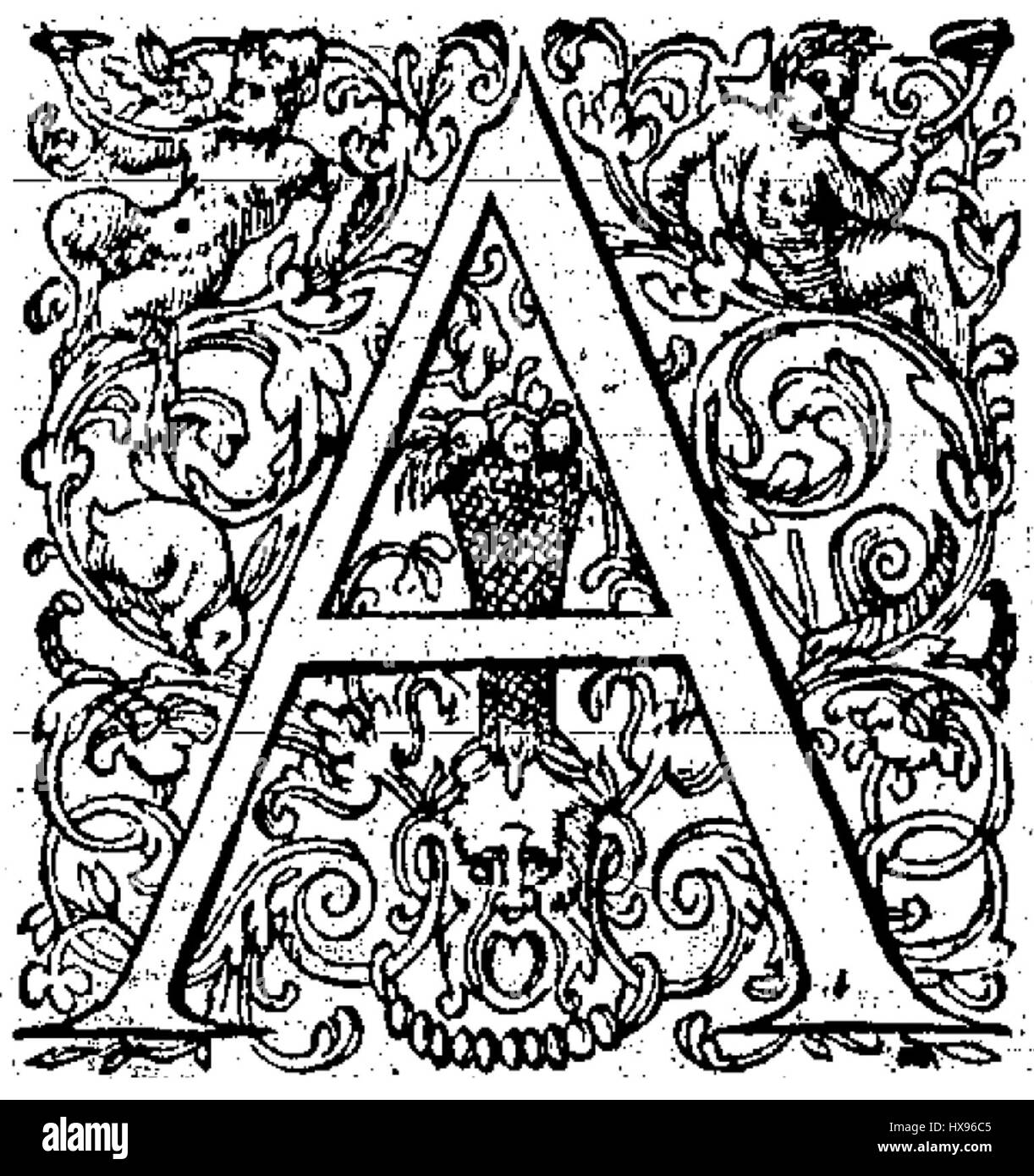 Nicot 1573 A1 Stock Photo - Alamy