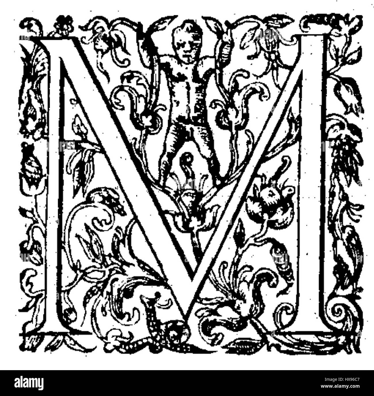 Detailed plant studies Cut Out Stock Images & Pictures - Alamy