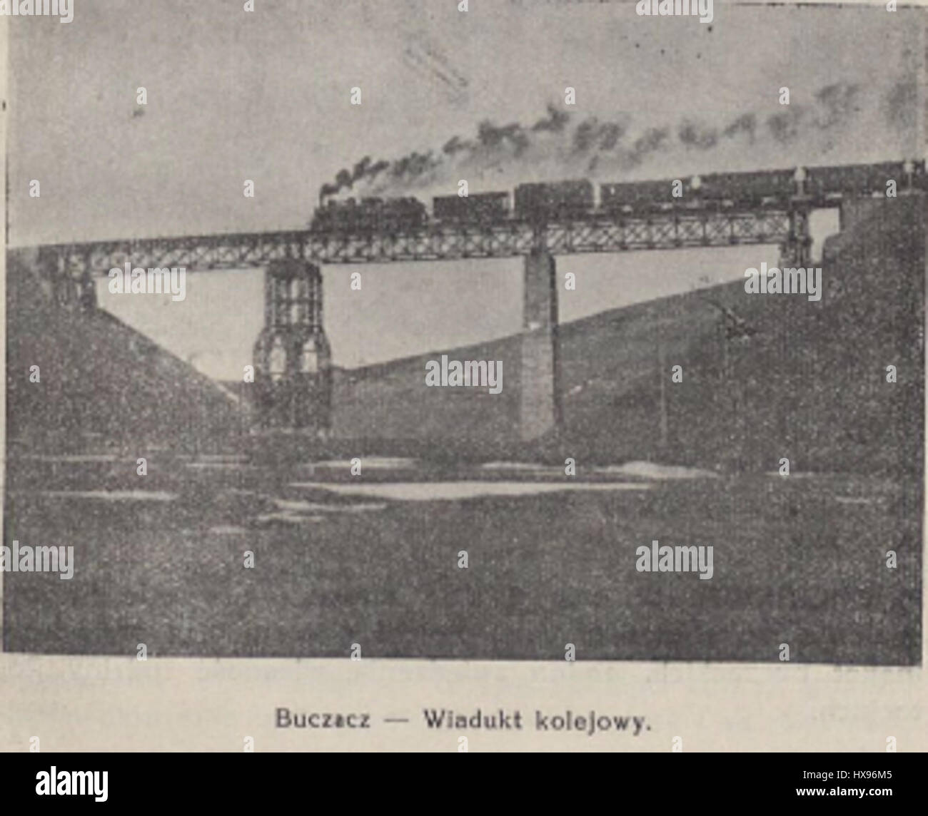 'Scandinavian Rosarium 1' refers to a botanical collection or depiction ...