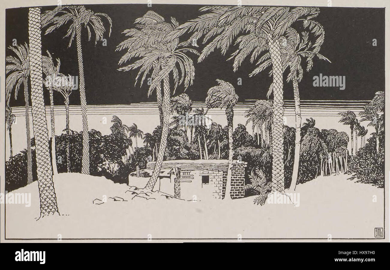 Palm trees artwork hi-res stock photography and images - Alamy