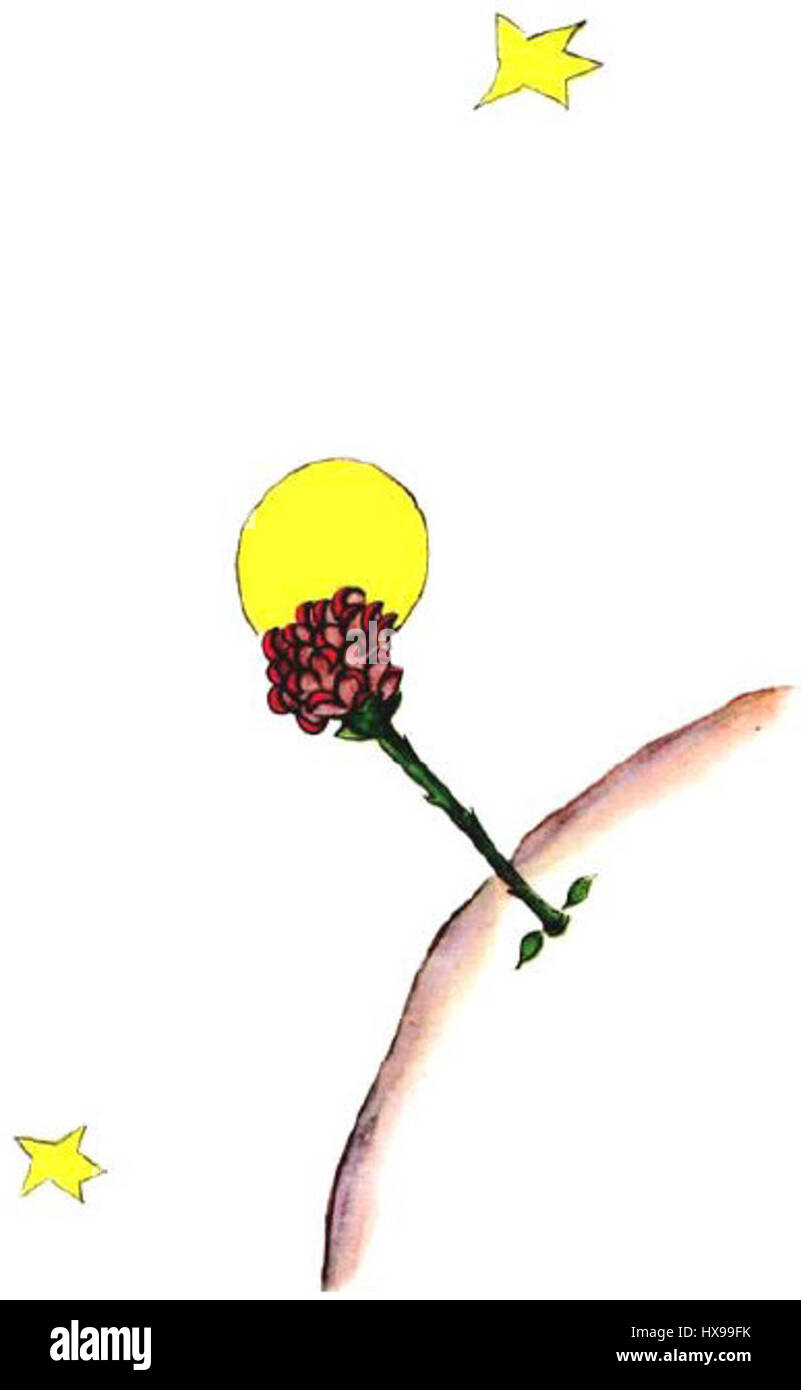 'Fiore' from 'Il Piccolo Principe' (The Little Prince) represents a ...