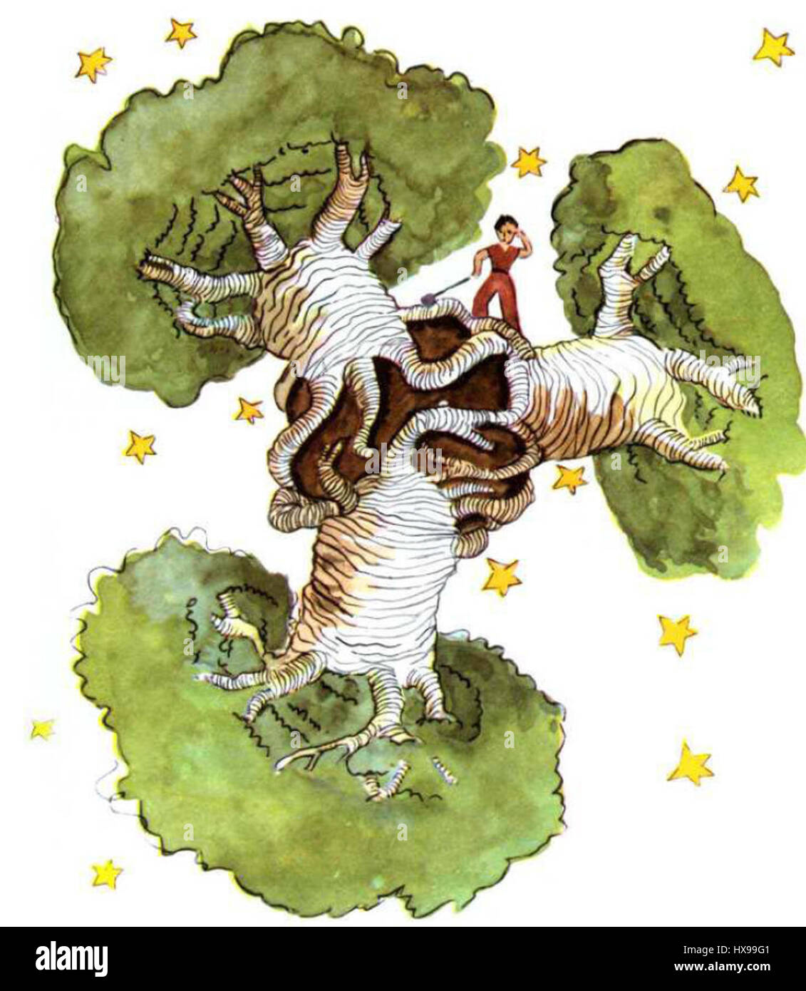 The Baobab tree is a key symbol in 'The Little Prince' by Antoine de ...