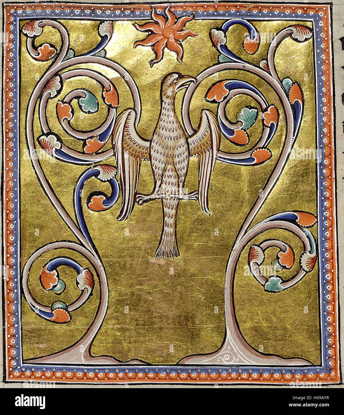 The myth of the Phoenix rising from its ashes symbolizes rebirth and ...