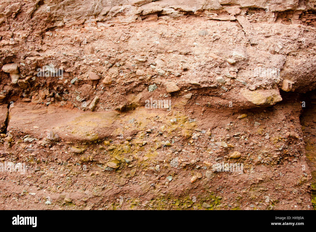 Conglomerate sedimentary rock hi-res stock photography and images - Alamy