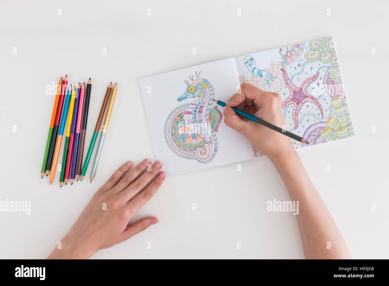 Hand colouring pencil hi-res stock photography and images - Alamy