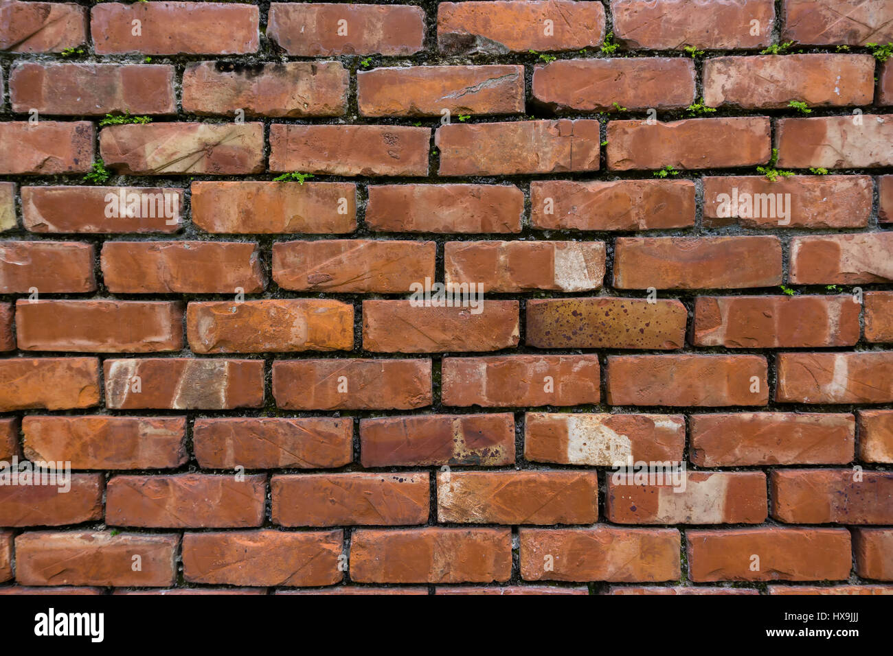 Red concrete block wall hi-res stock photography and images - Alamy