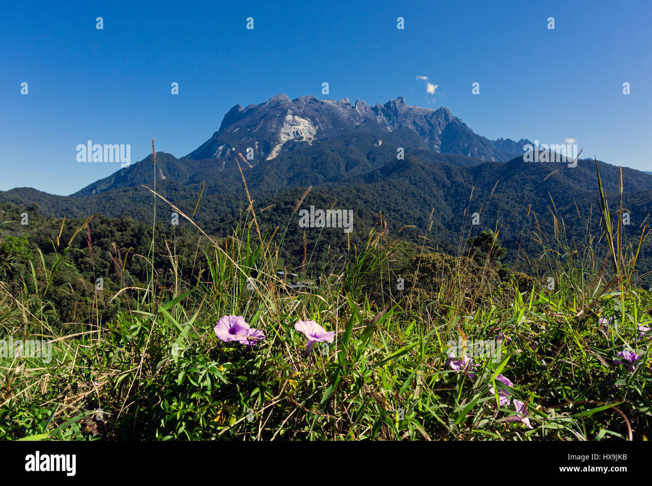 Beautiful scenery of Mount Kinabalu in Sabah Borneo, Malaysia Stock ...