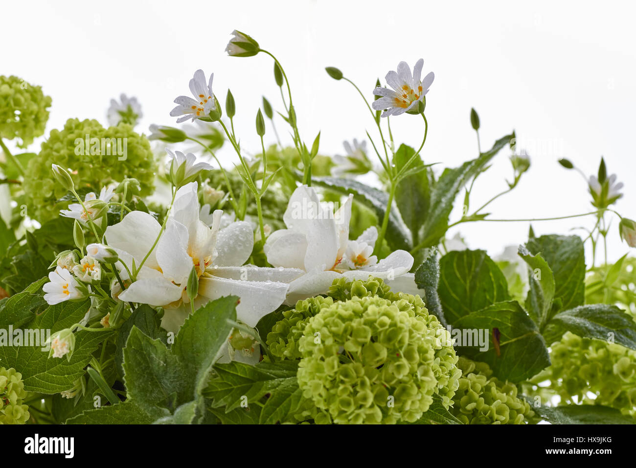 White bouquet hi-res stock photography and images - Alamy
