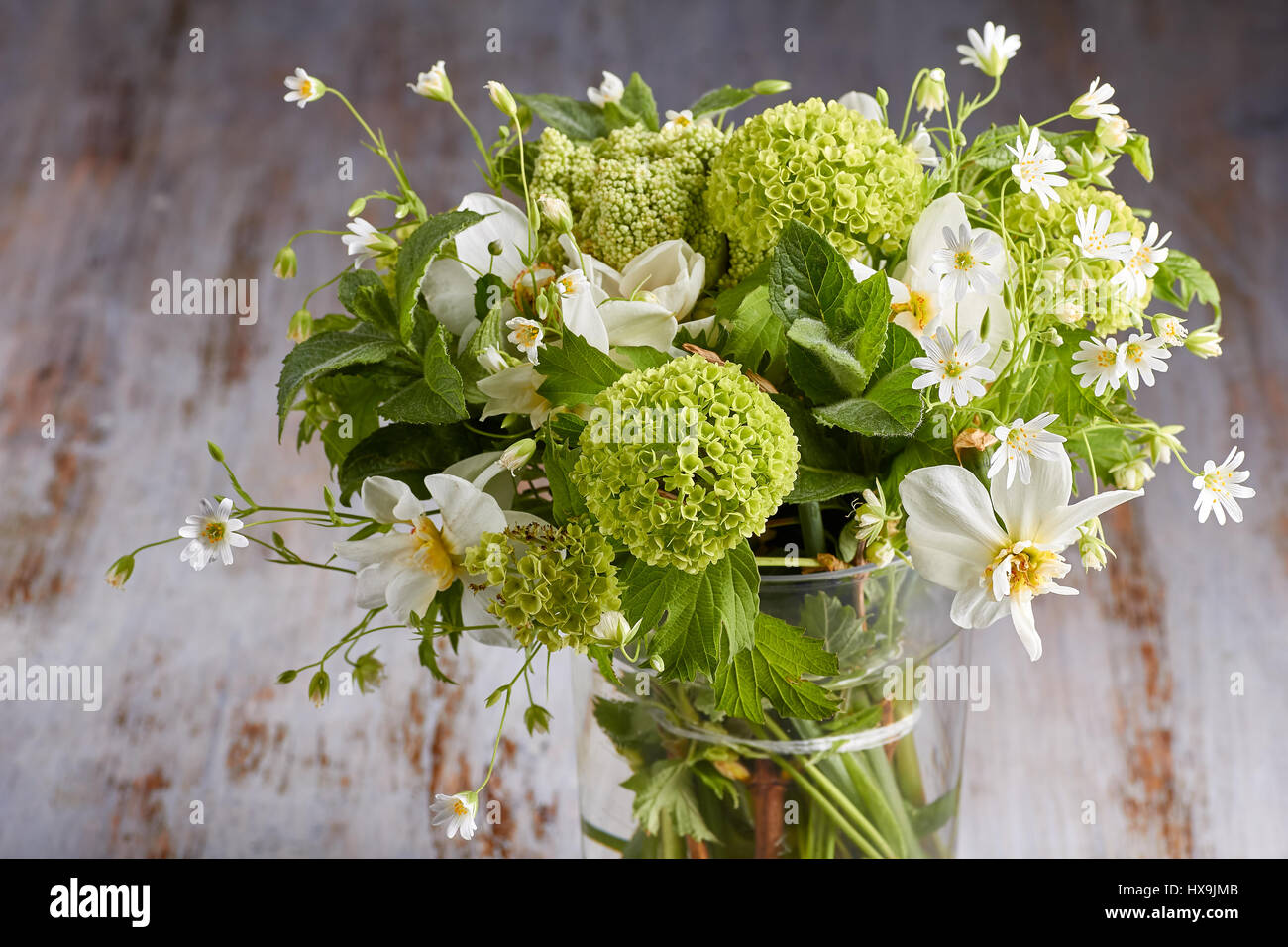 Fresh spring flowers close-up Stock Photo - Alamy