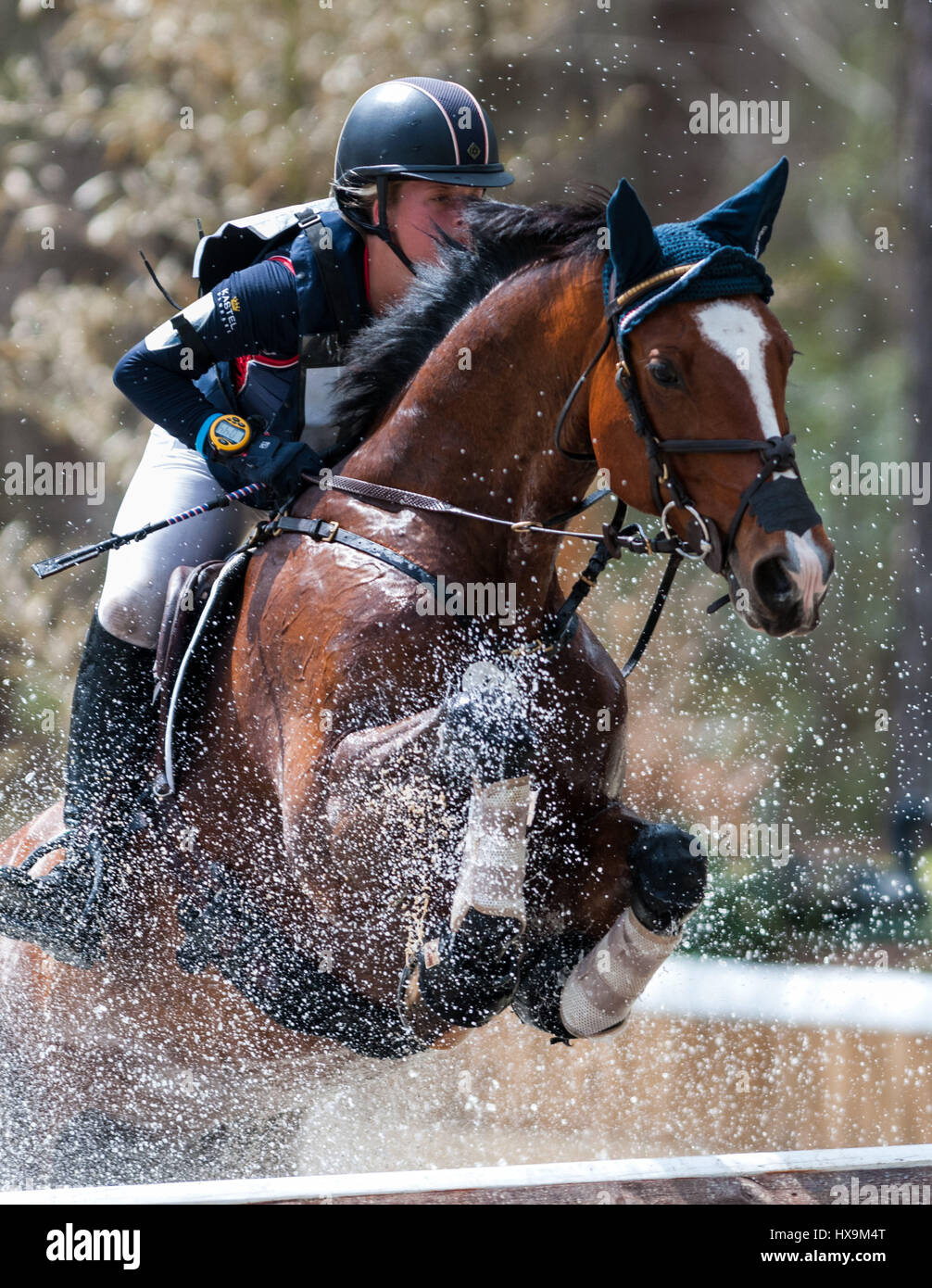 Raeford, North Carolina, US. 25th Mar, 2017. AMANDA BEALE CLEMENT and ...