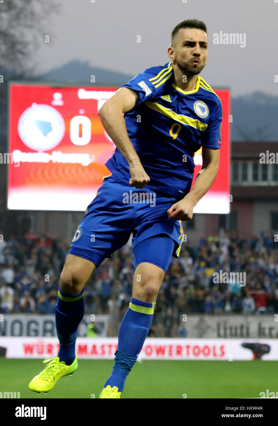 Vedad Ibisevic