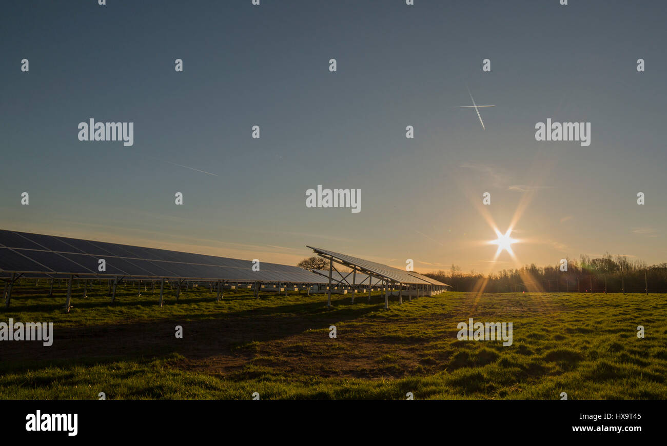 Cardiff, UK. March 26th 2017. The sun rises over a solar energy farm on ...