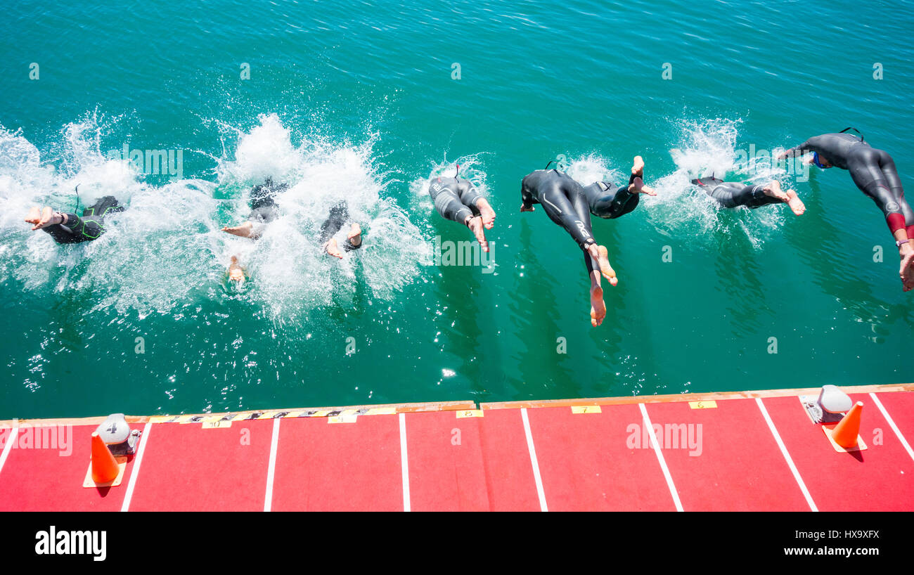 Triathletes at start of international triathlon Stock Photo - Alamy
