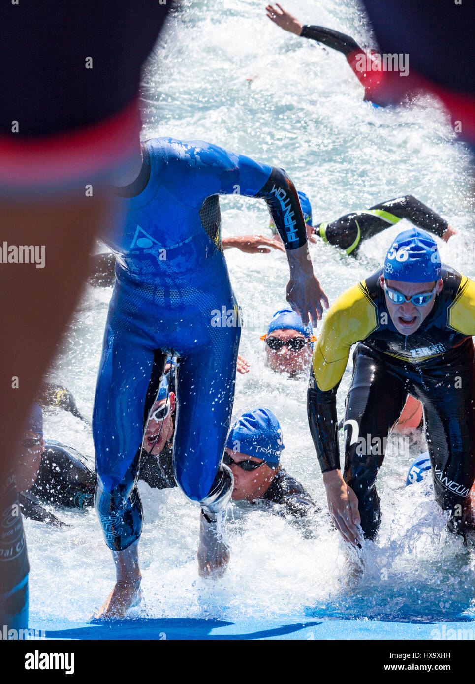 Triathletes at start of international triathlon Stock Photo - Alamy