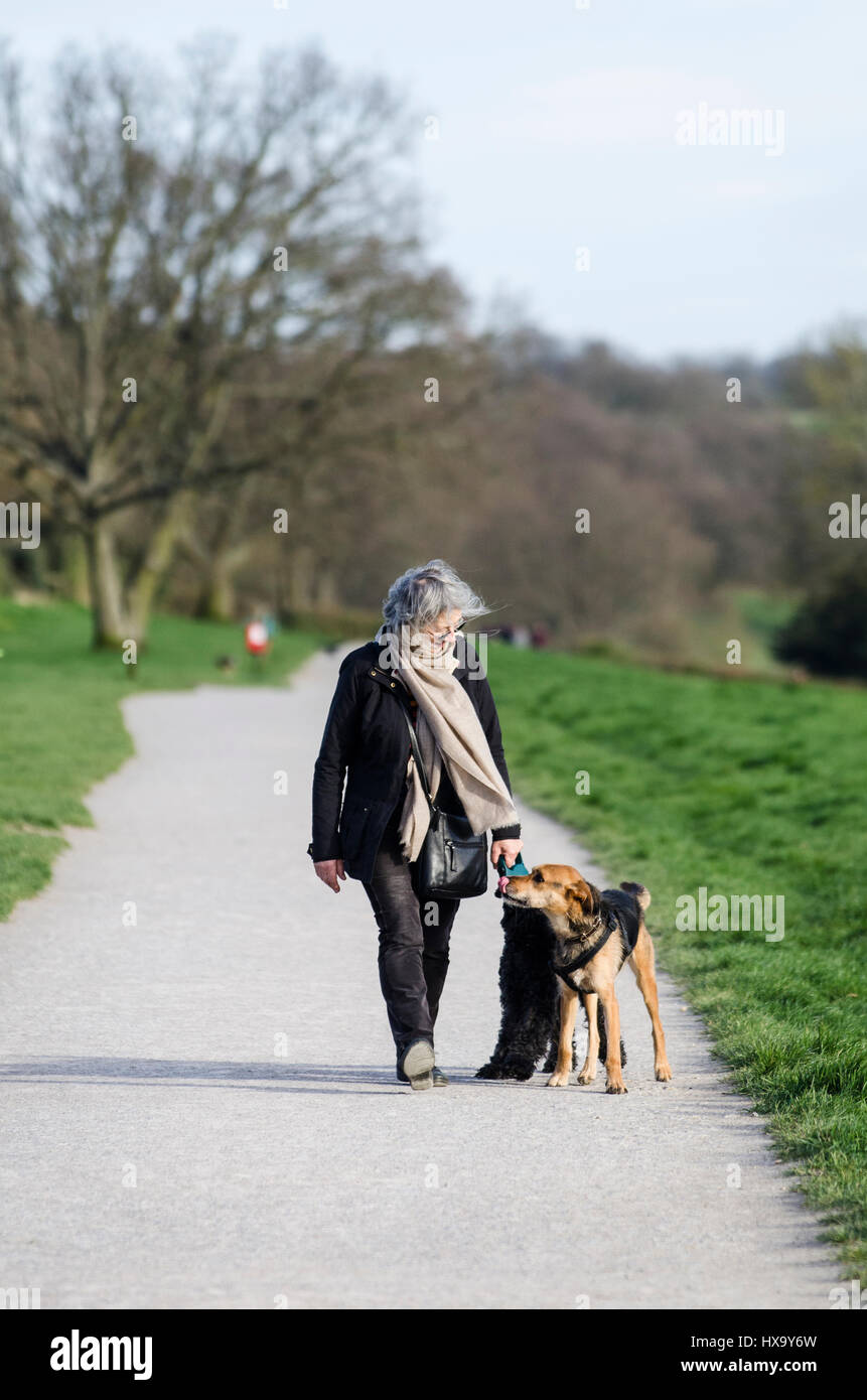 London, England, Uk. 26th Mar, 2017. Riddlesdown Common, London. 26th ...