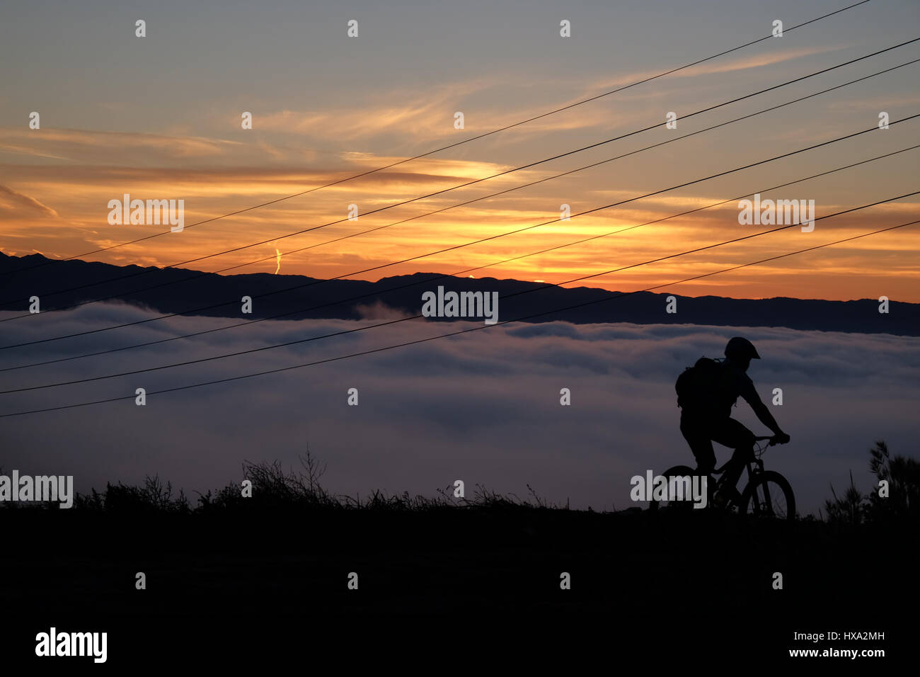 Laguna Beach, California, USA. 19th Mar, 2017. A mountain biker in ...