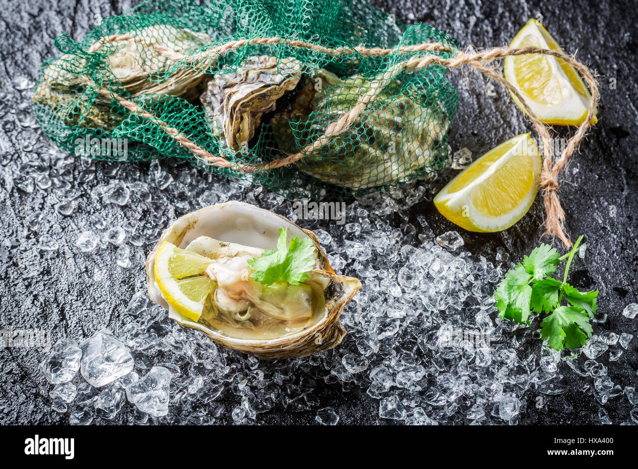 Tasty oyster in shell on crushed ice ready to eat Stock Photo - Alamy