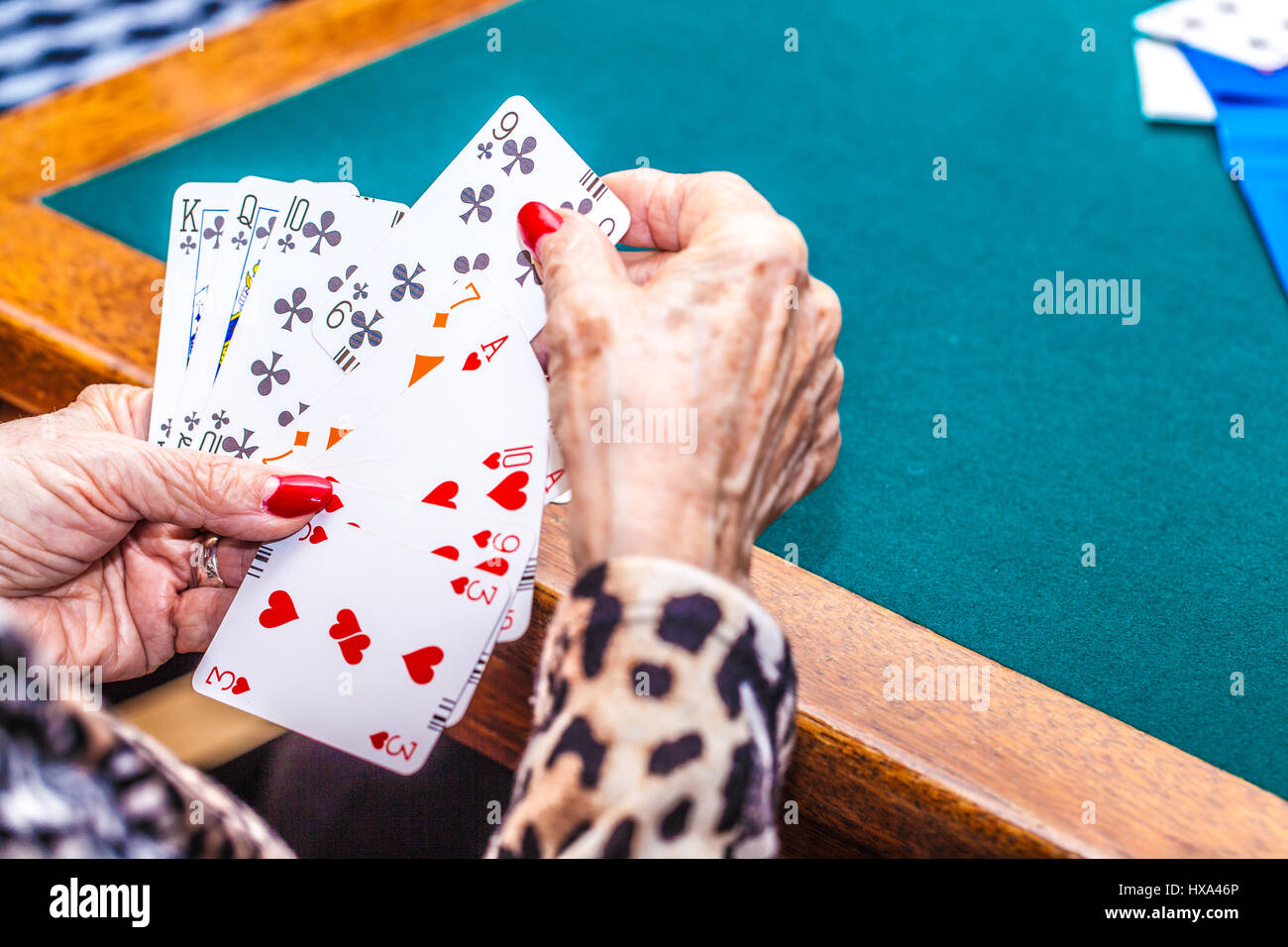 old people playing bridge game Stock Photo - Alamy