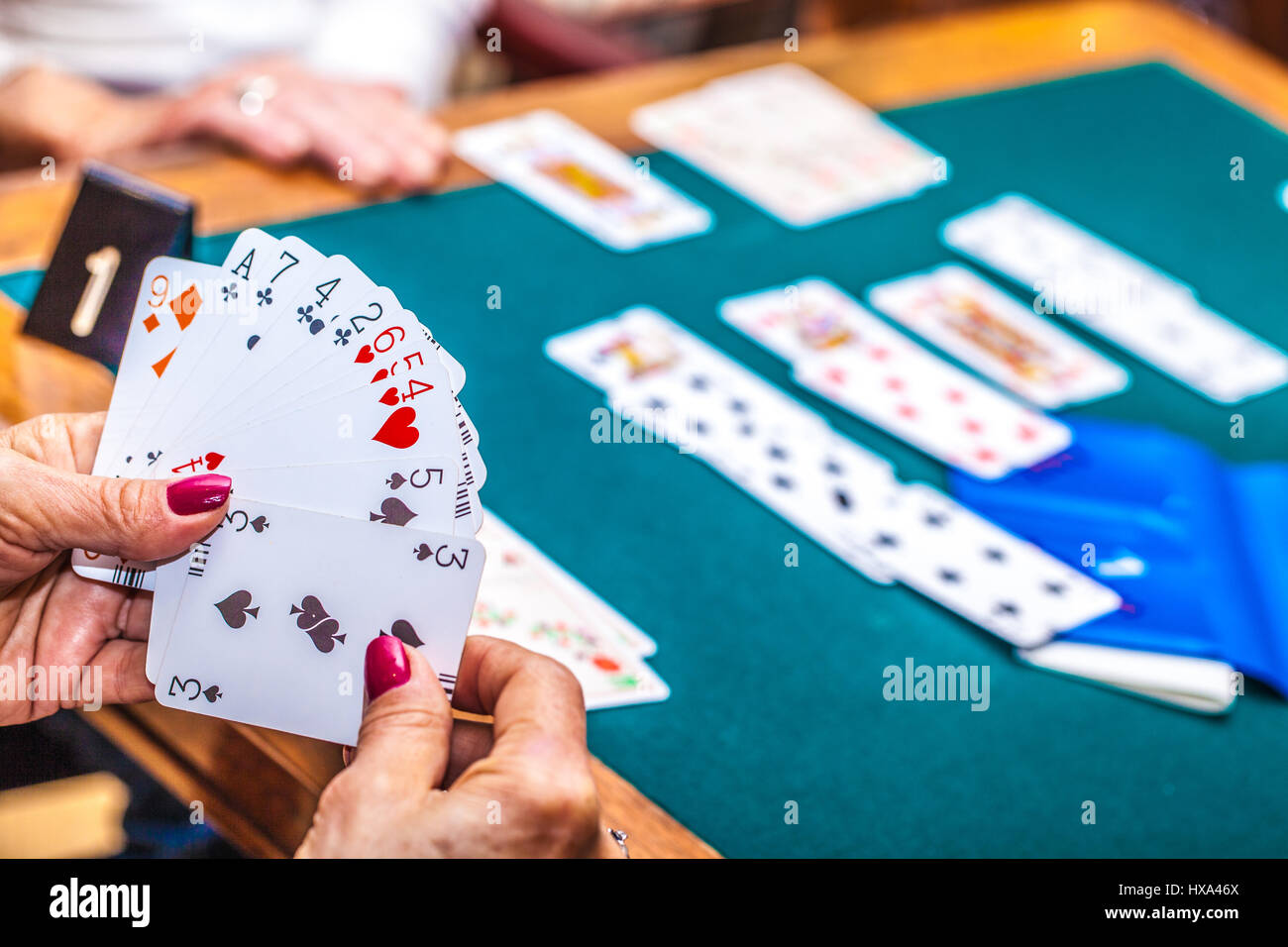 old people playing bridge game Stock Photo - Alamy