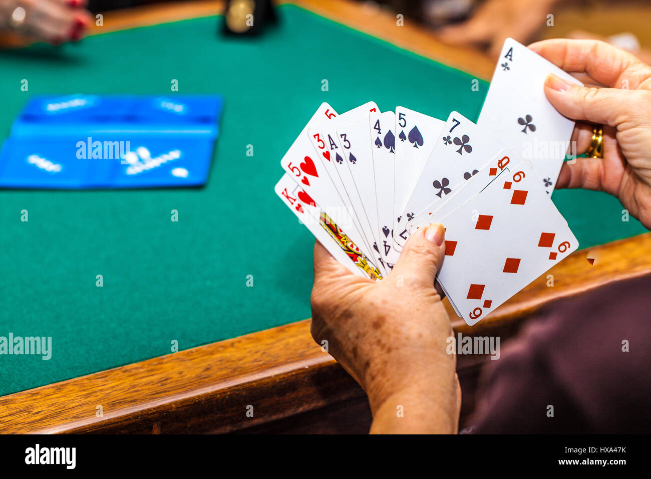 old people playing bridge game Stock Photo - Alamy