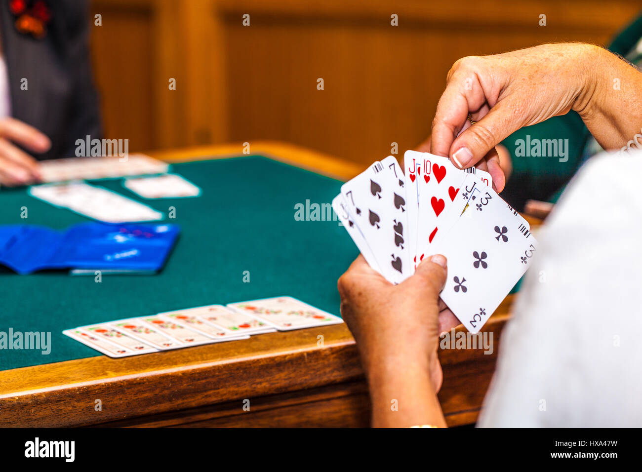 old people playing bridge game Stock Photo - Alamy