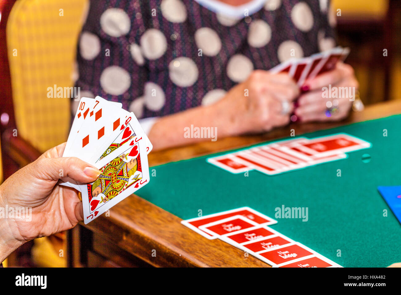 old people playing bridge game Stock Photo - Alamy