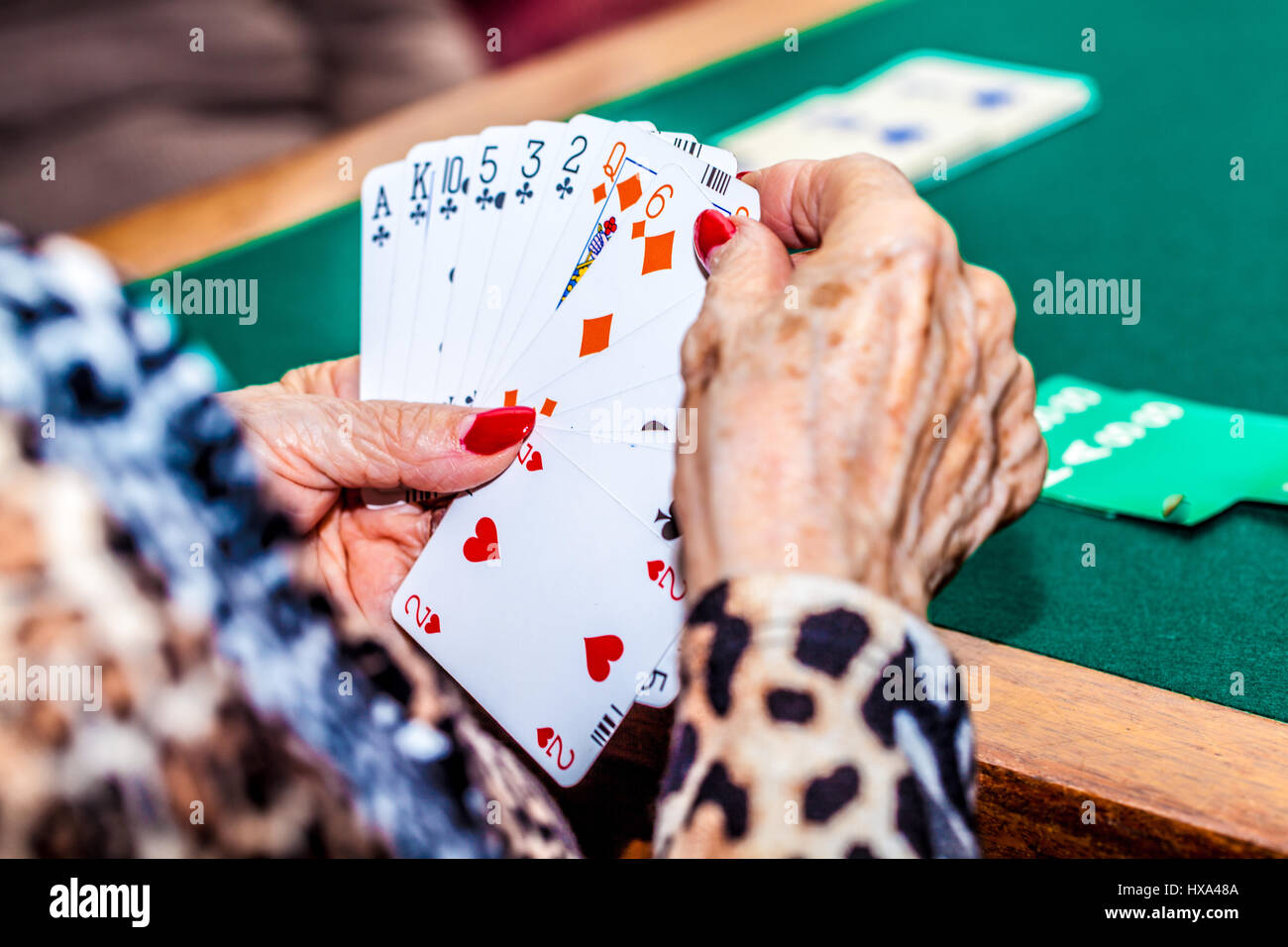 old people playing bridge game Stock Photo - Alamy