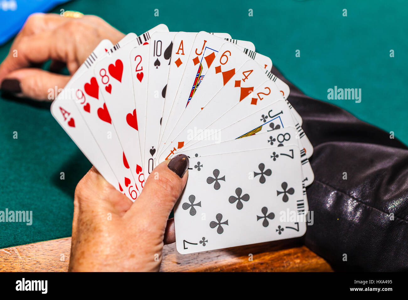 old people playing bridge game Stock Photo - Alamy