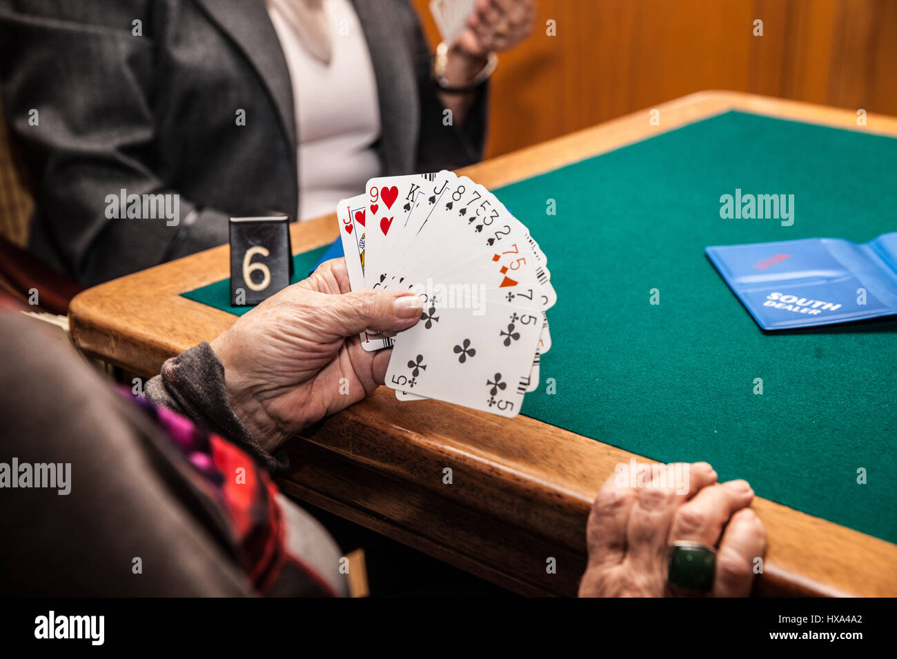old people playing bridge game Stock Photo - Alamy