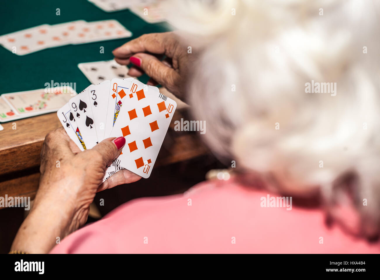old people playing bridge game Stock Photo - Alamy
