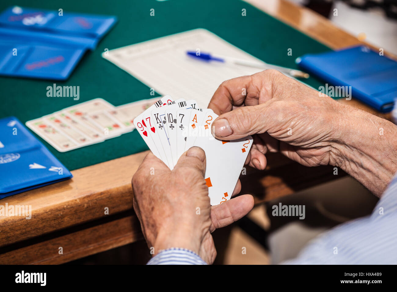 old people playing bridge game Stock Photo - Alamy