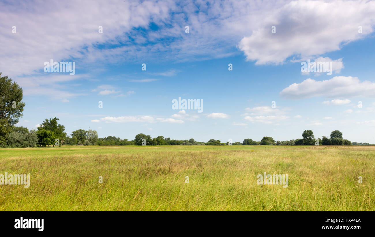 Hortobagy puszta hi-res stock photography and images - Alamy