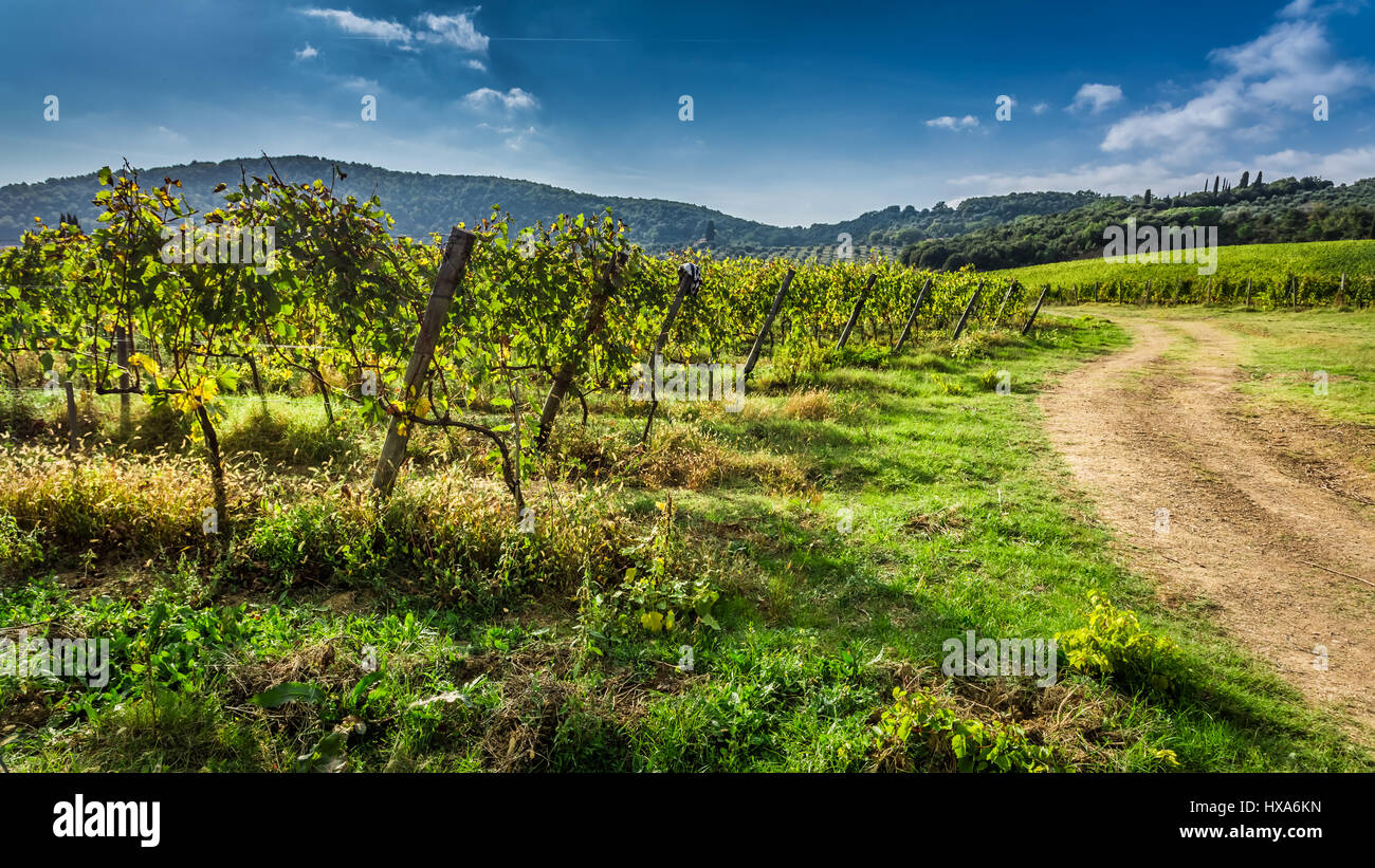 Endless green fields in italy hi-res stock photography and images - Alamy