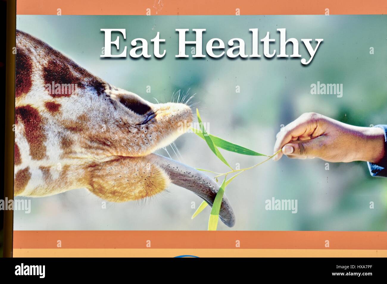 Eat healthy sign at Maryland zoo Stock Photo - Alamy