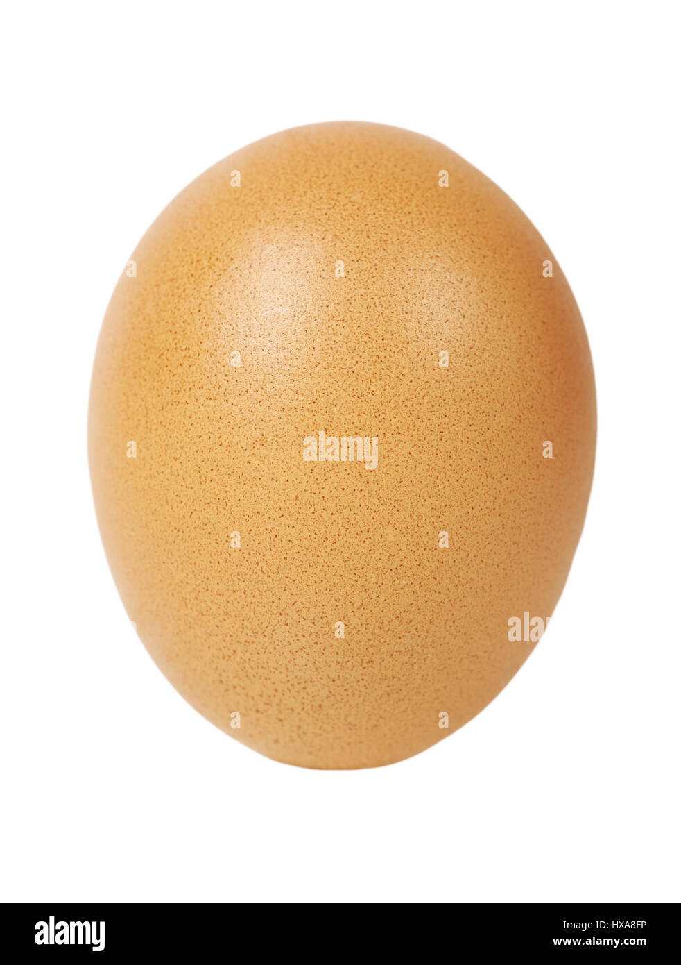 Single egg isolated on white background Stock Photo - Alamy