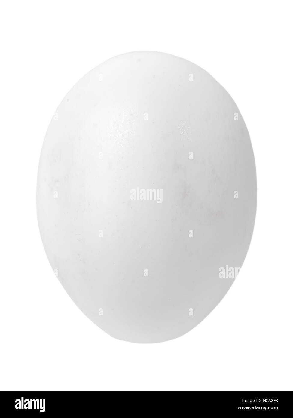 Single egg isolated on white background Stock Photo - Alamy