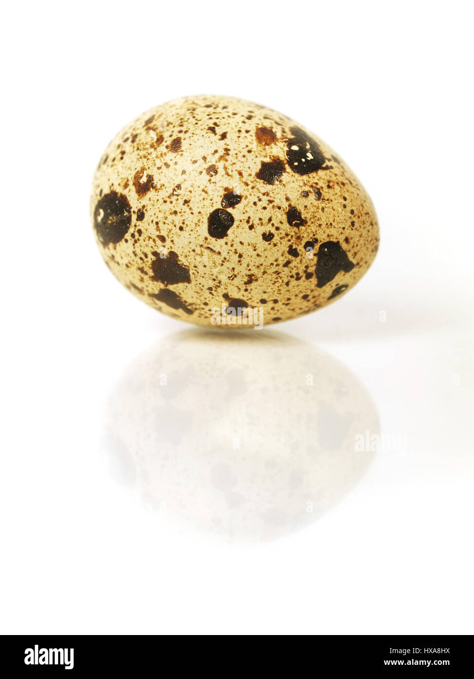 Single egg isolated on white Stock Photo - Alamy