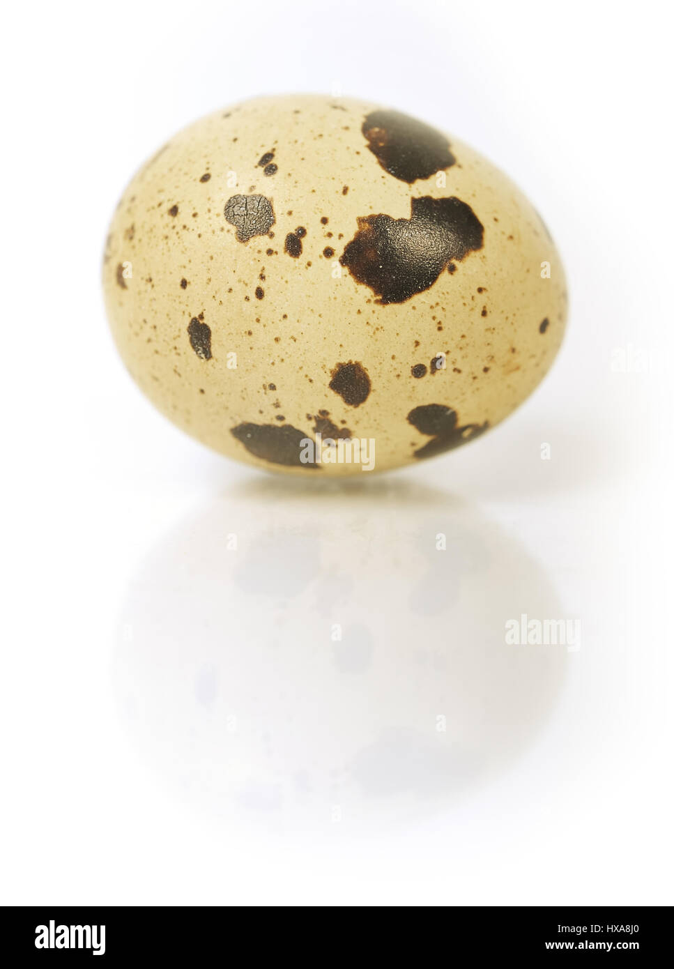 Single egg isolated on white background Stock Photo - Alamy